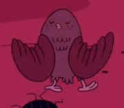 Birds | Adventure Time Wiki | Fandom