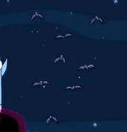 Birds | Adventure Time Wiki | Fandom