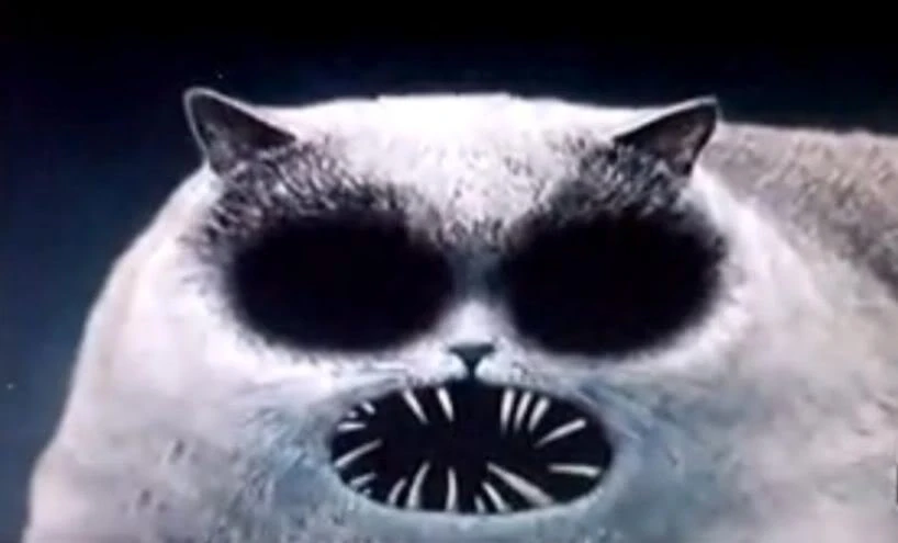 Image - Flapjack cat by IsolaLuu13.jpg | Adventure Time Wiki | FANDOM ...