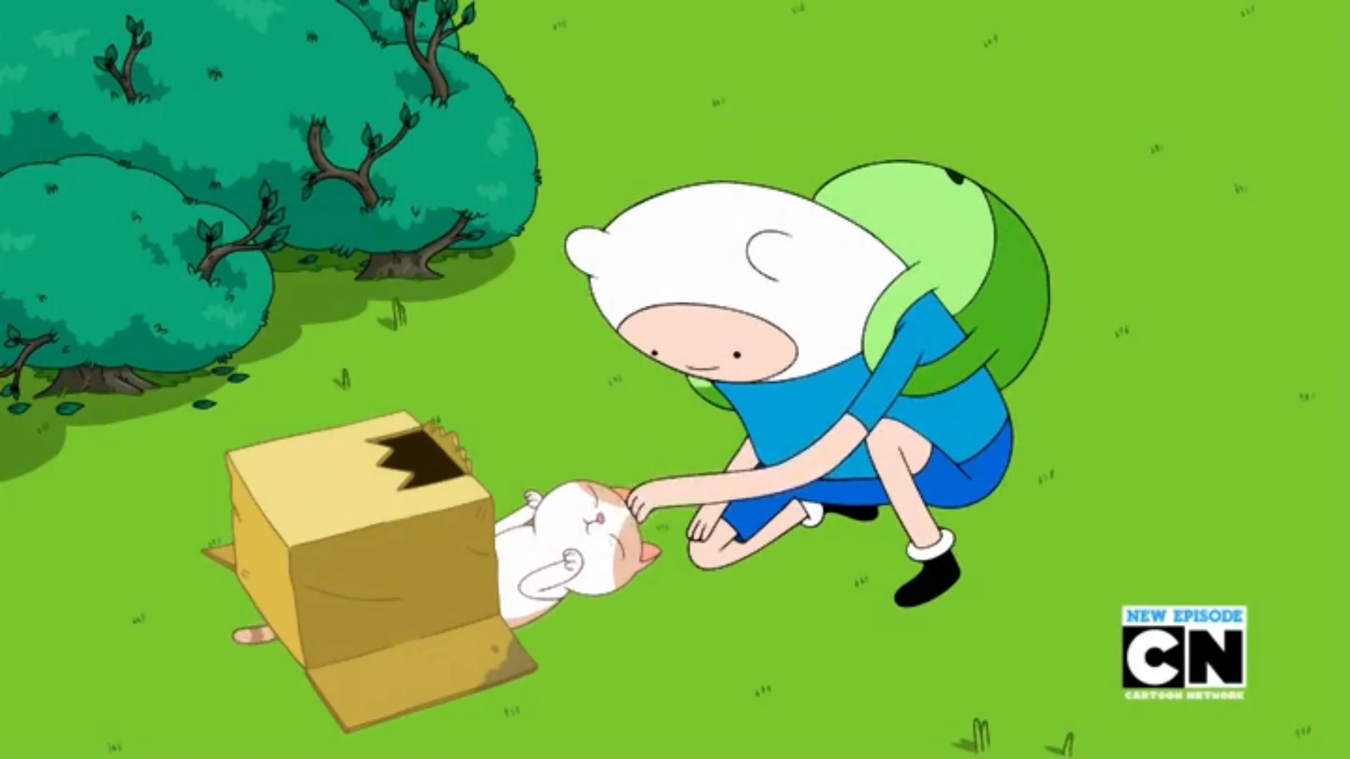 Image - Boxprince purring S5E37.png | Adventure Time Wiki | FANDOM ...