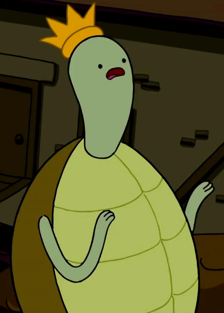 Mr. Turtle | Adventure Time Wiki | Fandom