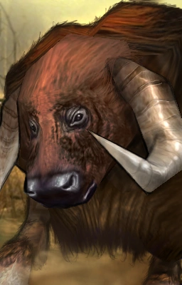 Deep Rothe | A Dance with Rogues | Fandom