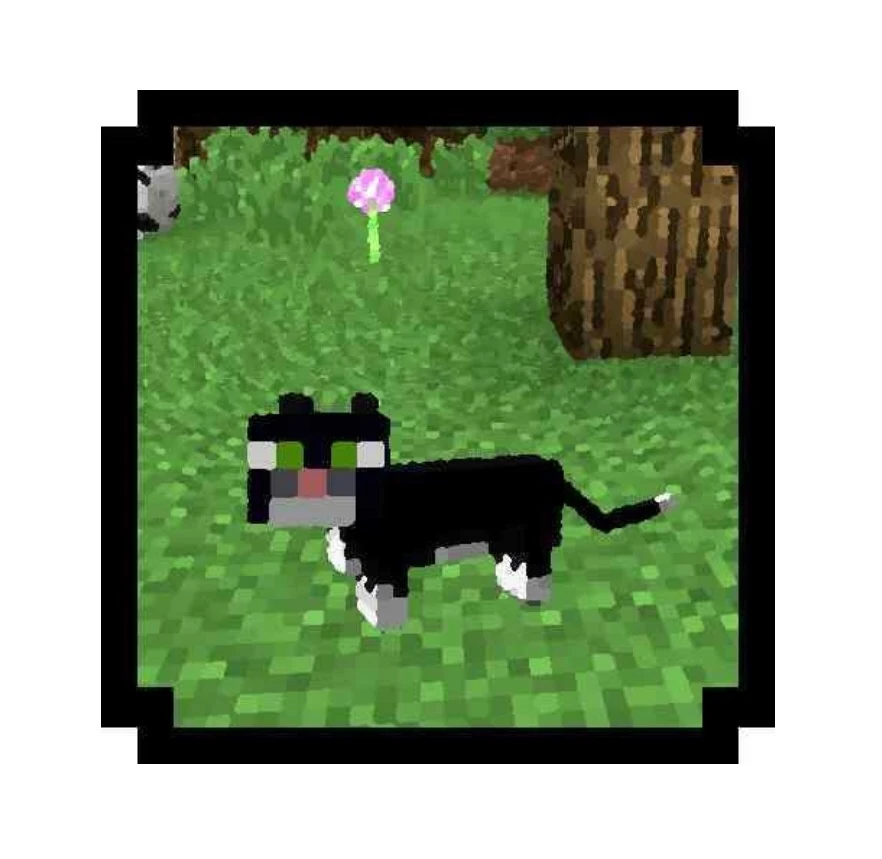 Eeebs | Aetherian Wiki | Fandom