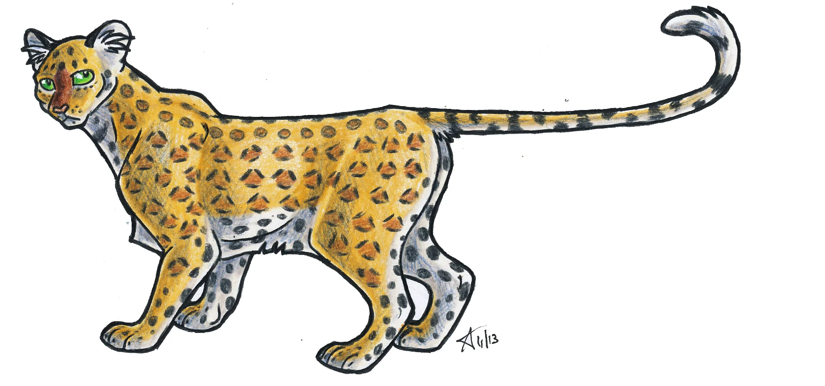 Africa | Africa Wiki | Fandom