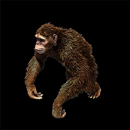 Furious the Monkey Boy | Age of Empires Series Wiki | Fandom