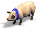 Pig | Age of Empires Series Wiki | Fandom