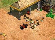 Wild Boar | Age of Empires Series Wiki | Fandom