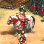 Paladin | Age of Empires Series Wiki | Fandom