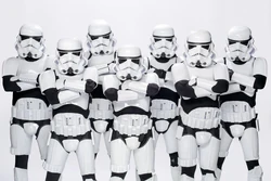 Boogie Storm | America's Got Talent Wiki | Fandom