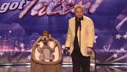 John Pizzi | America's Got Talent Wiki | FANDOM powered by Wikia