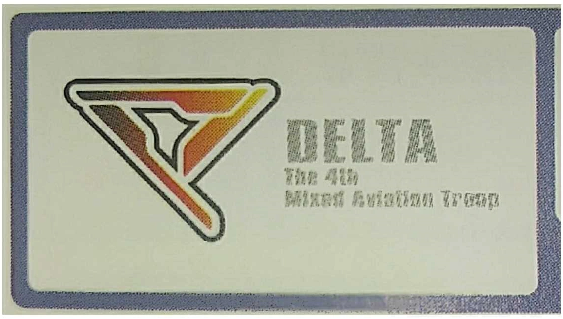 Delta Squadron | Airforce Delta Wikia | Fandom