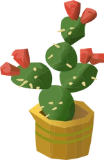 Coral Corner Items | Animal Jam Item Worth Wiki | Fandom