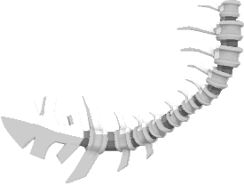 Bone Tail | Animal Jam Item Worth Wiki | Fandom