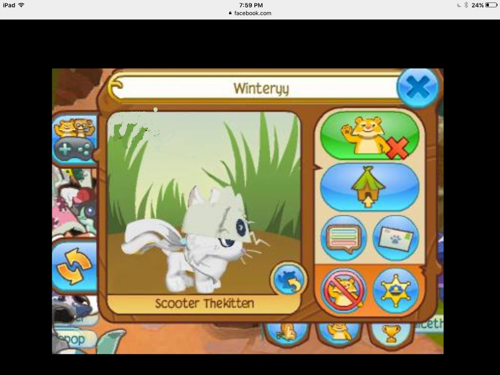 Cat | Animal Jam Fanon Wiki | Fandom