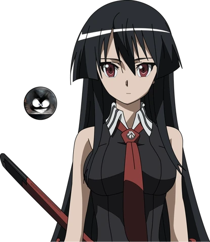 Image - Akame by bestbt-d8zw5xb (1).png | Akame Ga Kill! Fanon Wiki ...