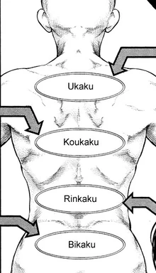 Kakuhou | Wiki Akatsuki Afterlife Sucesores | Fandom