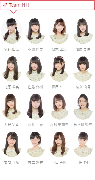 Team NIII | AKB48 Wiki | Fandom