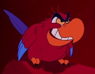 Iago | Aladdin Wiki | Fandom Iago | Aladdin Wiki | Fandom