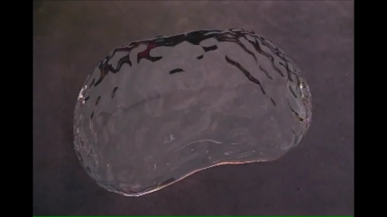 Image - Snapshot 1 (9-27-2014 5-40 AM).png | The Secret World of Alex ...