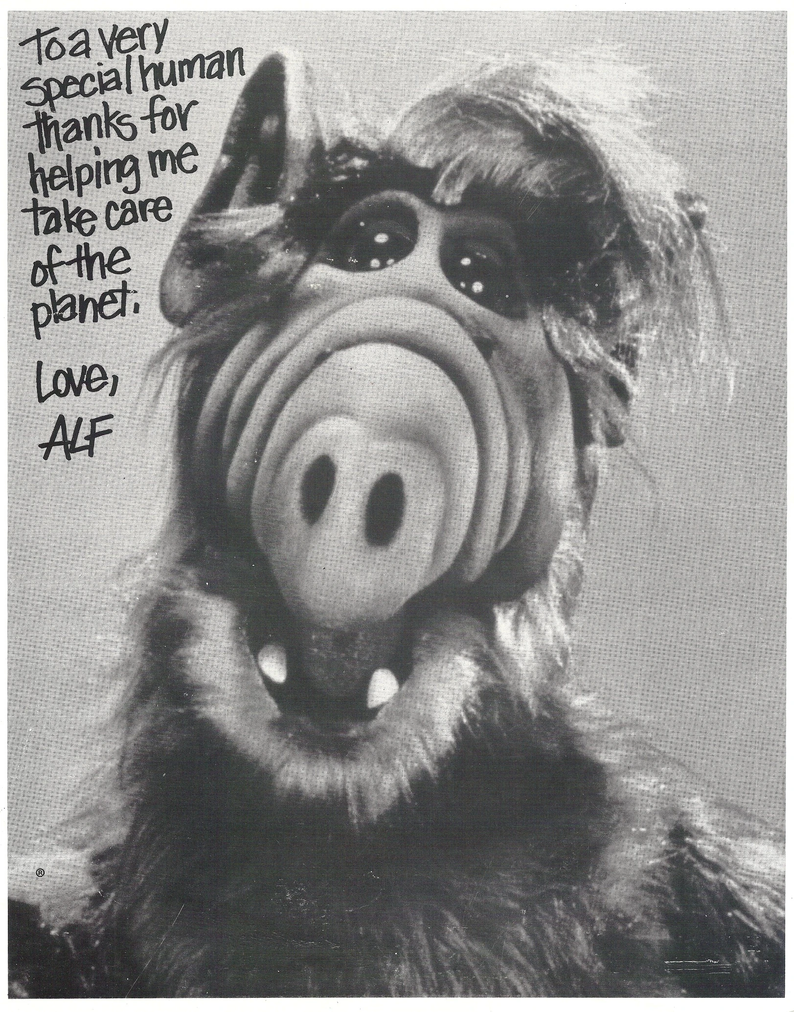 Category:ALF cameos | ALF Wiki | Fandom