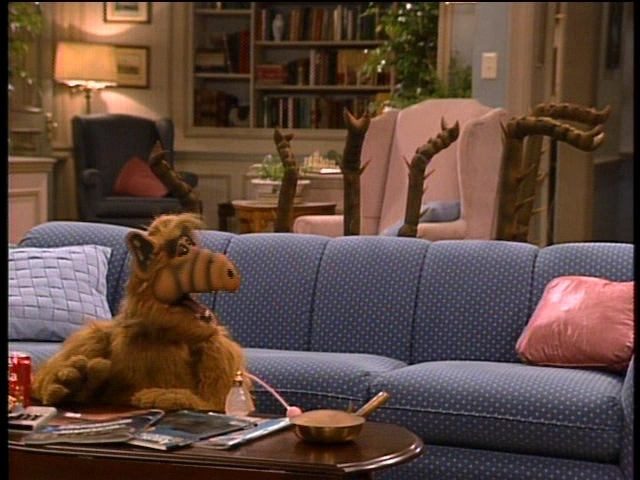 Melmacian Cockroach | ALF Wiki | FANDOM powered by Wikia