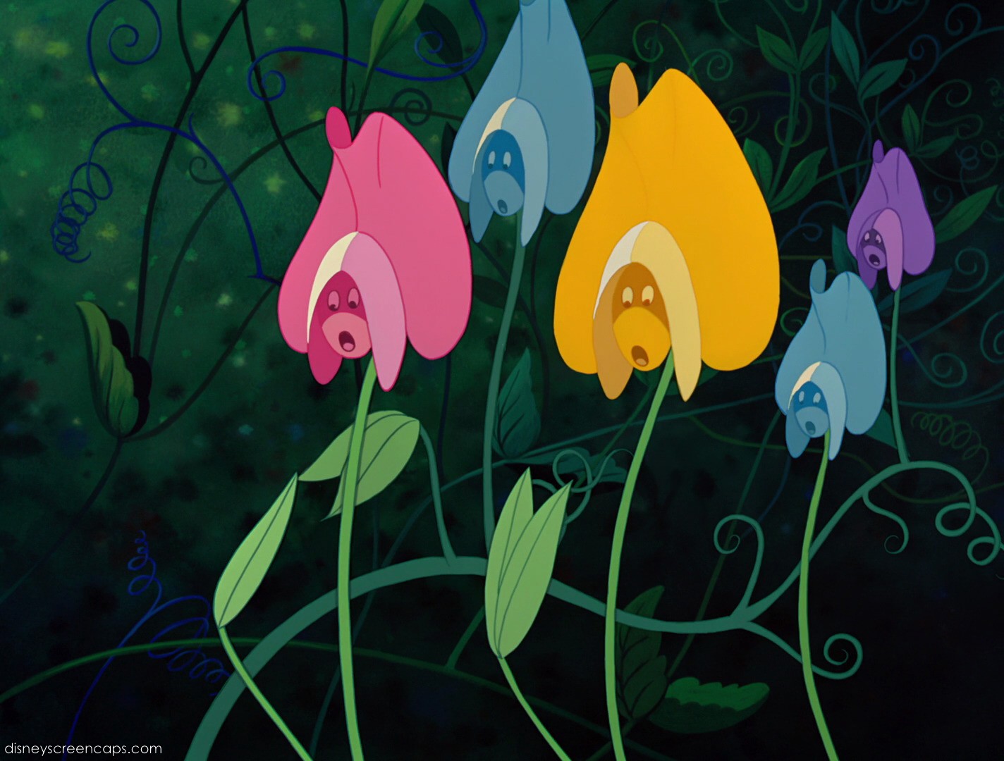Image Alice 3477 Alice In Wonderland Wiki