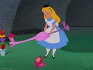 Flamingos | Alice in Wonderland Wiki | FANDOM powered by Wikia