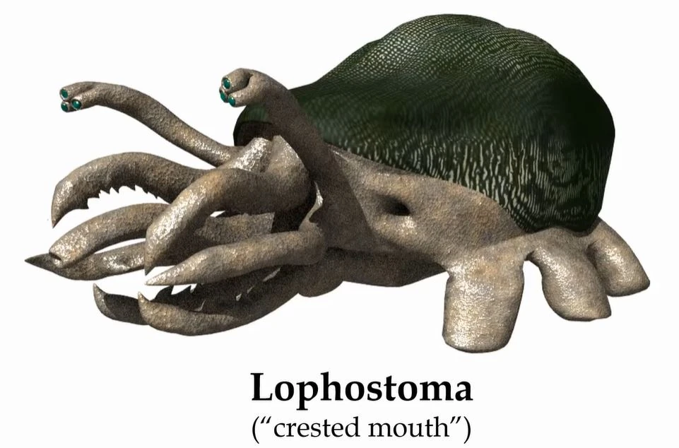 Lophostoma | Alien Biospheres - Biblaridion Wiki | Fandom