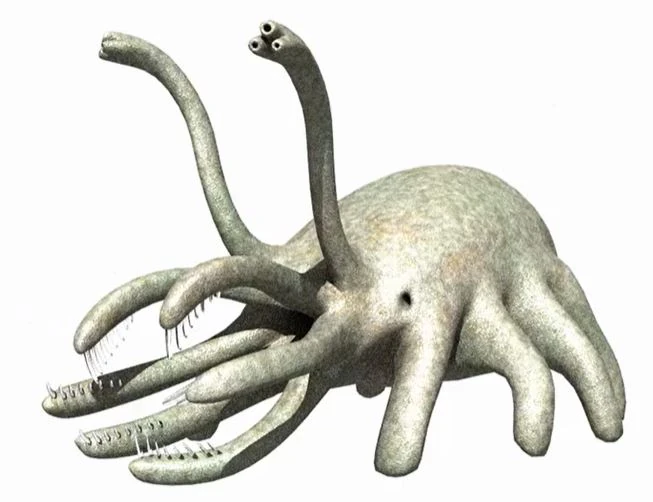 Malacoformes | Alien Biospheres - Biblaridion Wiki | Fandom