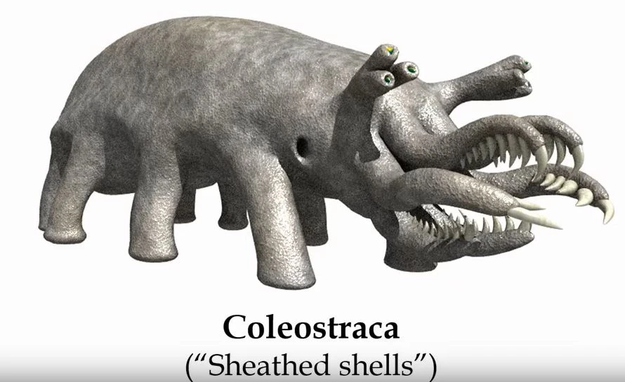 Coleostraca | Alien Biospheres - Biblaridion Wiki | Fandom
