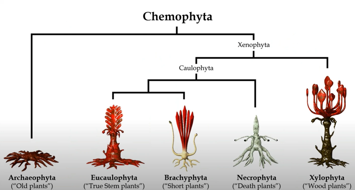 Chemophyta | Alien Biospheres - Biblaridion Wiki | Fandom