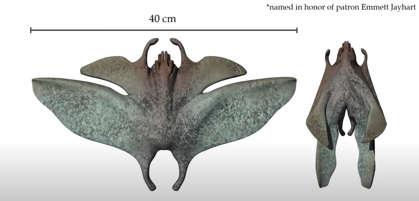 Opisthoptera | Alien Biospheres - Biblaridion Wiki | Fandom