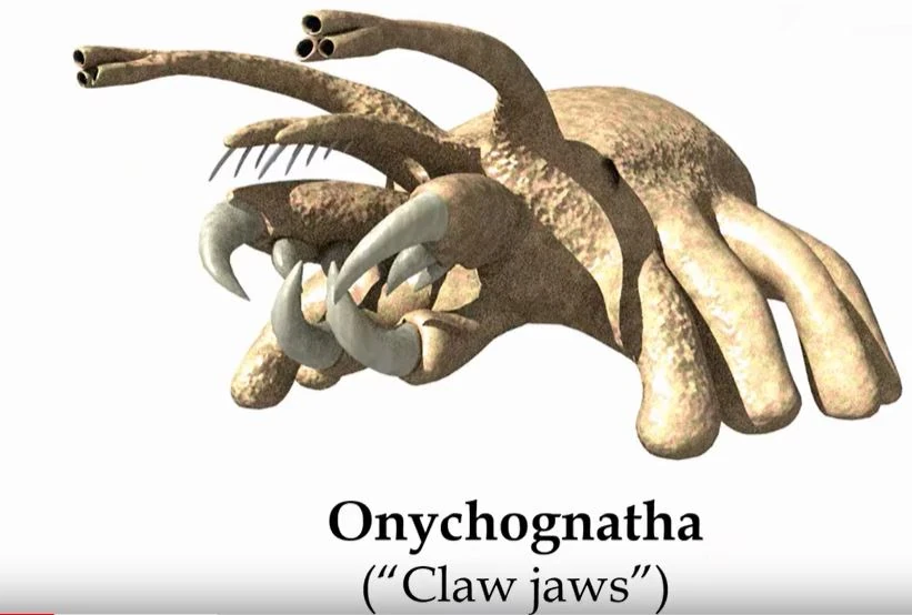Onychognatha | Alien Biospheres - Biblaridion Wiki | Fandom