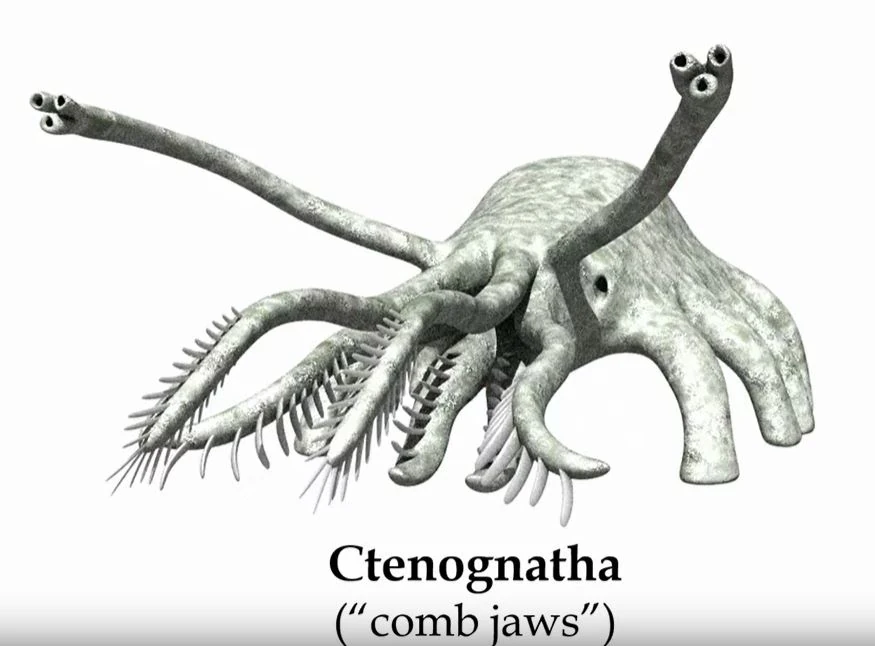 Ctenognatha | Alien Biospheres - Biblaridion Wiki | Fandom