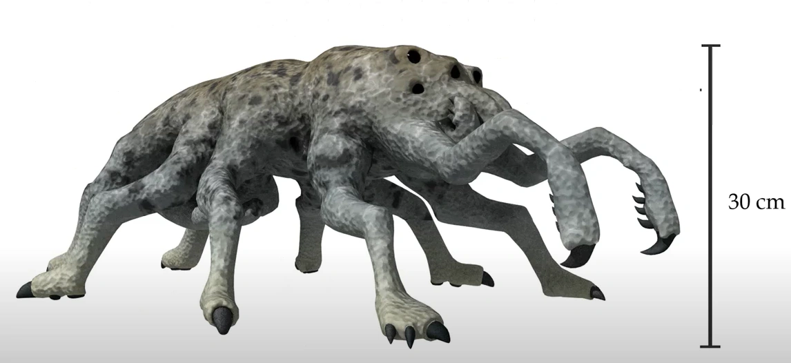 Eurycheiridae | Alien Biospheres - Biblaridion Wiki | Fandom