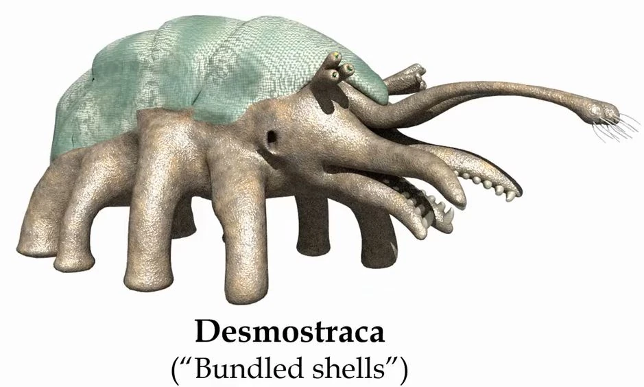 Archaeodesmostraca | Alien Biospheres - Biblaridion Wiki | Fandom