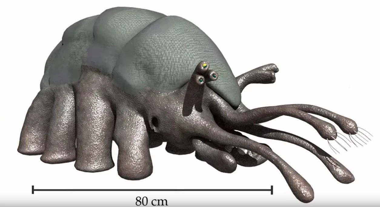 Eudesmostraca | Alien Biospheres - Biblaridion Wiki | Fandom