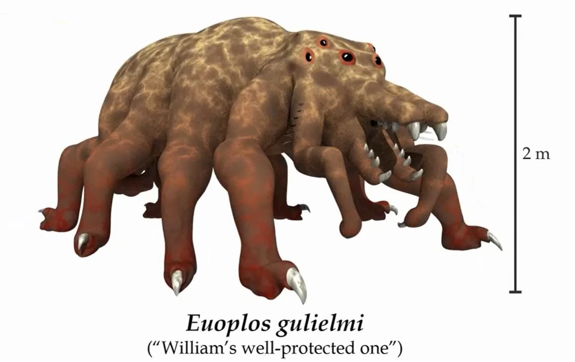 Euoplos gulielmi | Alien Biospheres - Biblaridion Wiki | Fandom