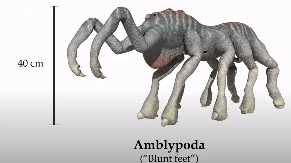 Amblypoda | Alien Biospheres - Biblaridion Wiki | Fandom