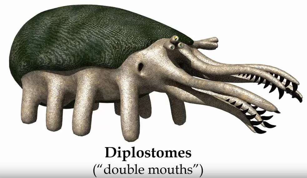 Diplostoma | Alien Biospheres - Biblaridion Wiki | Fandom