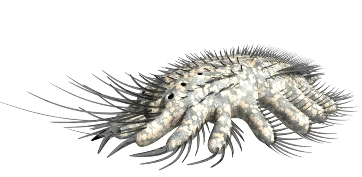 Trichopoda | Alien Biospheres - Biblaridion Wiki | Fandom