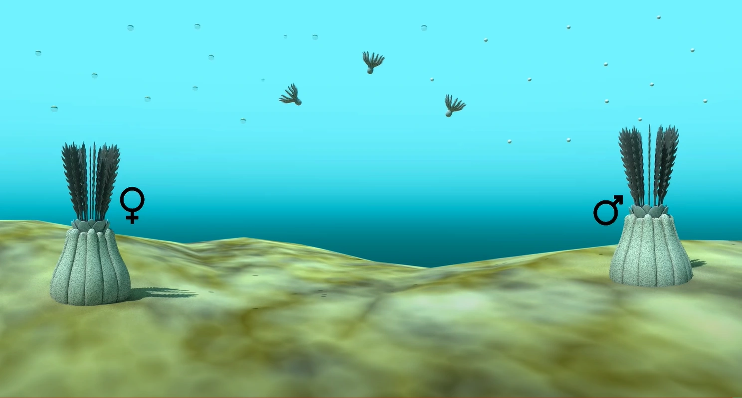 Category:Anthostoma | Alien Biospheres - Biblaridion Wiki | Fandom