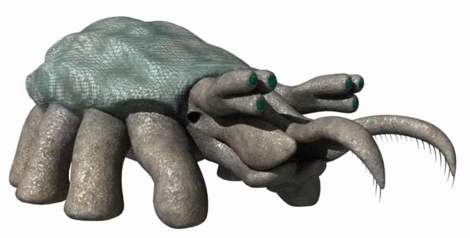 Xerostraca | Alien Biospheres - Biblaridion Wiki | Fandom