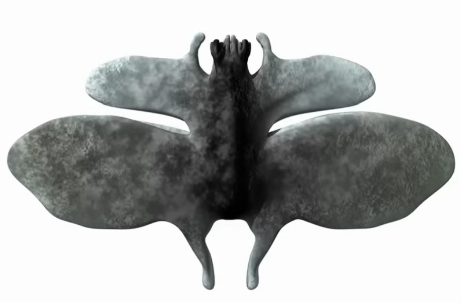 Latoptera | Alien Biospheres - Biblaridion Wiki | Fandom