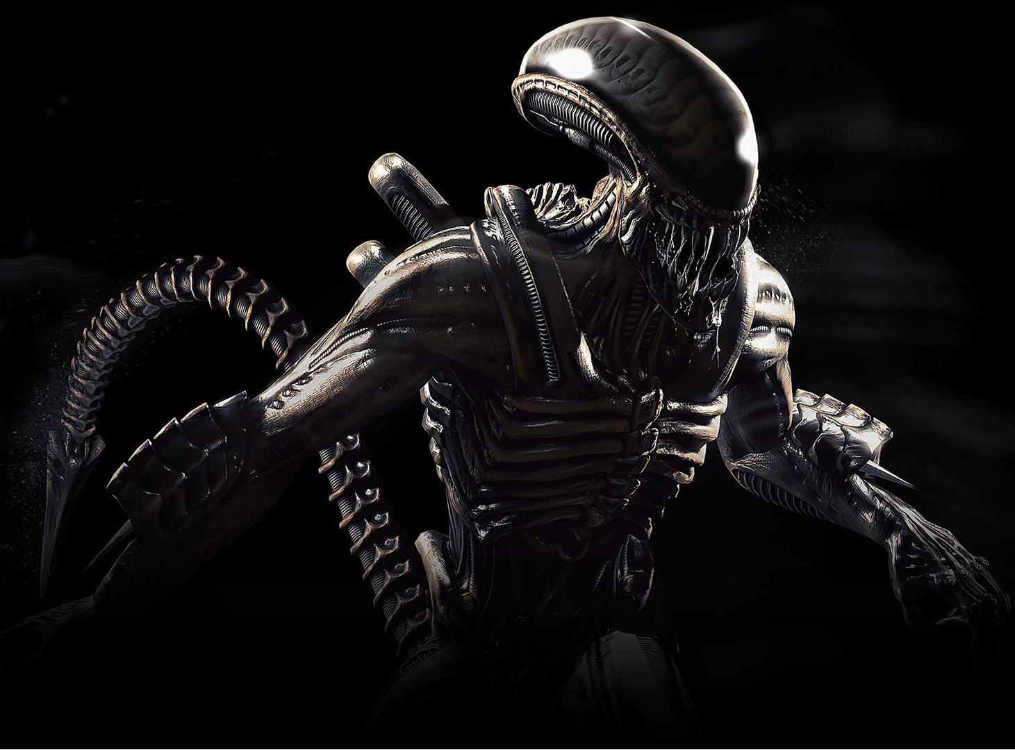 Tarkatański Ksenomorf | Xenopedia | FANDOM powered by Wikia Tarkatański Ksenomorf | Xenopedia | FANDOM powered by Wikia