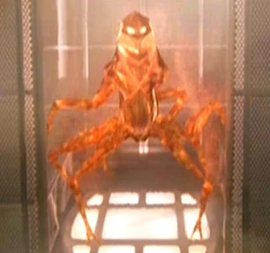 Tholian | Alien Species | Fandom