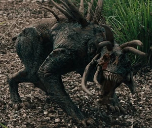 Hell-hound | Alien Species | Fandom