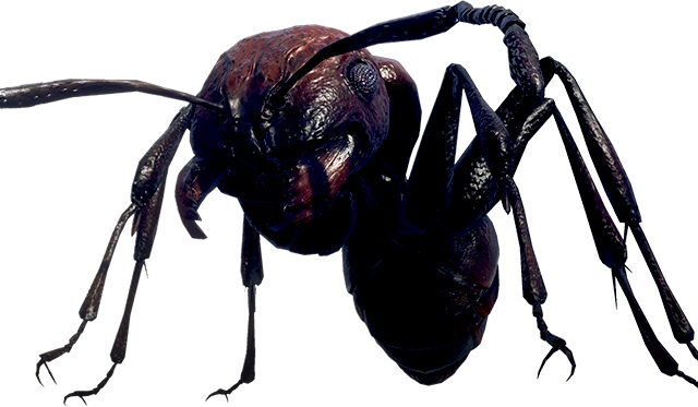 Terror Ant | Alien Species | Fandom