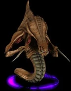 Zerg | Alien Species | FANDOM powered by Wikia