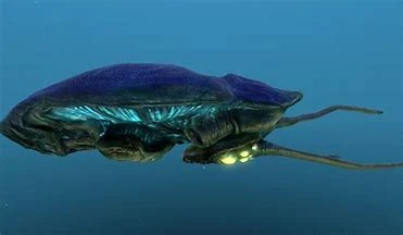 Reefback Leviathan | Alien Species | Fandom